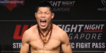 Top 10 Chinese Ufc Fighters of All Time - Sports News and Views