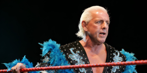 Top 10 Greatest WWE Wrestlers from the 80s Professional