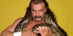 Top 10 Greatest WWE Wrestlers from the 80s Professional